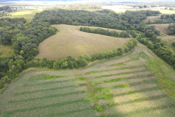 Land Archives - Merit Auctions