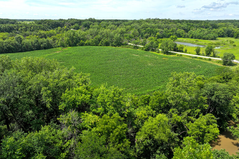 Land Archives - Merit Auctions