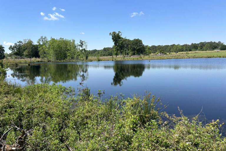 Land Archives - Merit Auctions